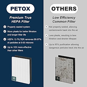 4 Pack 115115 HEPA Replacement Filter A Size 21 Compatible with Winix PlasmaWave C535 5300 5300-2 5500 5500-2 6300 6300-2 P300 AM90 9000 5000 5000B C909 9800 Air Purifier by PETOX