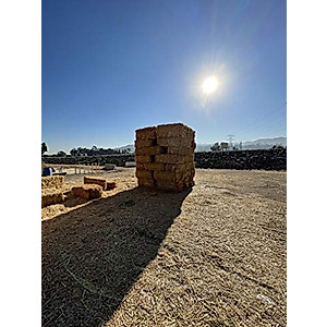 AA Plus Shop 100% Natural Wheat Straw Grass, Animal Bedding and Farm Wheat Straw (4LB)