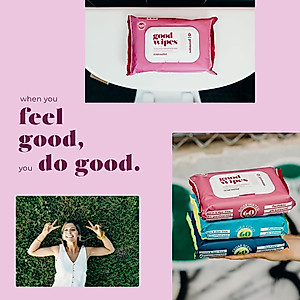 Goodwipes Flushable Butt Wipes Made with Vitamin E & Aloe - Soft & Gentle Wet Wipe Dispenser for Home Use, Septic & Sewer Safe - Largest Adult Toilet Towelettes - Rosewater, 360 Count (6 Packs)