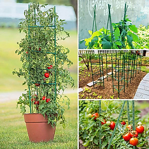 4ft 3-Pack Tomato Cage for Garden Plant Cages, Up to 48inch Plant Supports Tomato Trellis Stakes for Potted Plants, Heavy Duty Tomato Cages Cucumber Trellis for Garden Vertical Climbing Plants Flowers