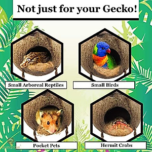 SunGrow Leopard Gecko Coconut Husk Hut with Ladder and Coco Fiber Bedding, with Shell Opening, 2.5” Opening Diameter, Cave Habitat with Hanging Loop, 1.5 oz Fiber Bedding