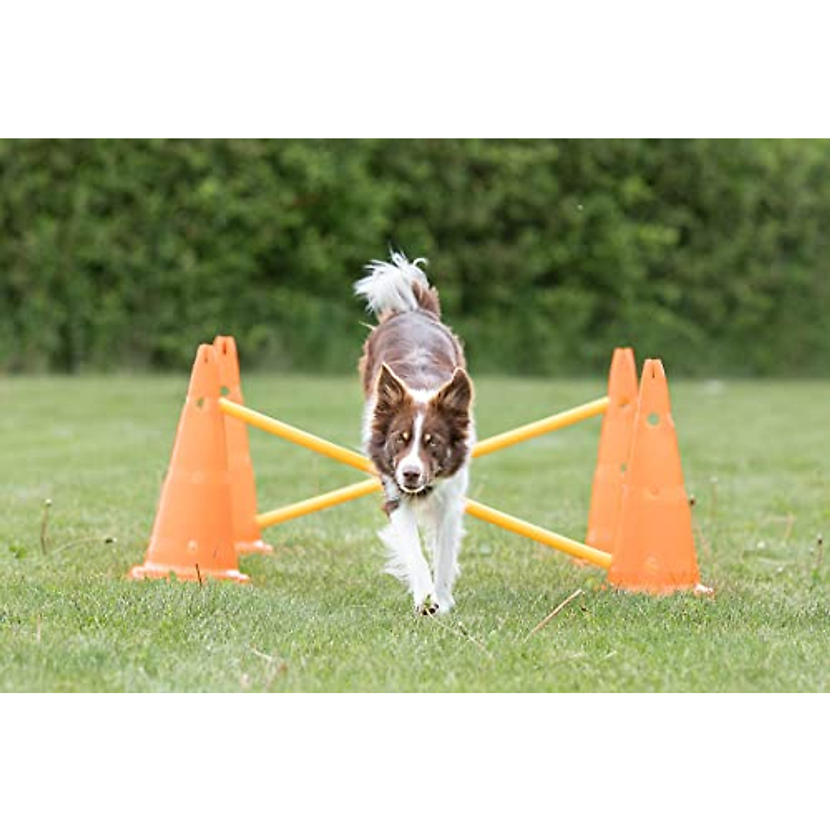 TRIXIE Dog Agility Hurdle Cone Set, Portable Canine Agility Training Set, 6 Exercise Cones with 3 Agility Rods
