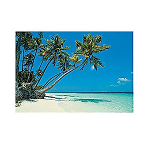 Fun Express - Tropical Beach Backdrop Banner (3 Pieces Assemble to Make 1 Backdrop) for Party - Party Decor - Wall Decor - Preprinted Backdrops