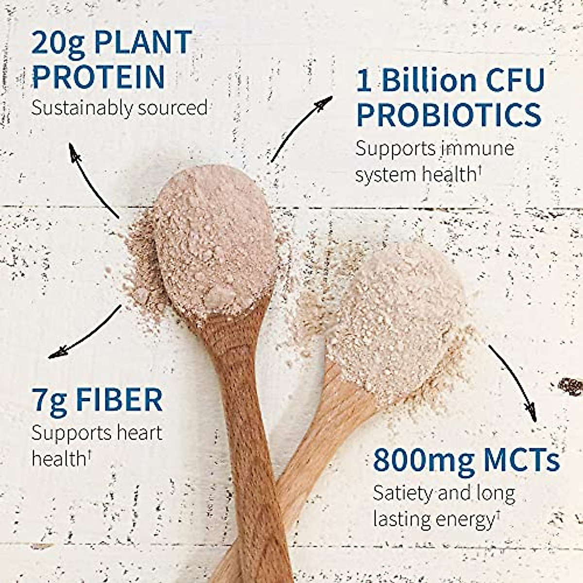Garden of Life Chocolate Plant Based Fit Protein with Fava Bean, Sprouted Grains Plus Immune Support, Probiotics & Svetol to Help Burn Fat – Dr Formulated MD – Non GMO, Carbon Neutral, 10 Servings