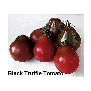 Mixed Seeds! 30+ Black Tomato Seeds, Mix of 9 Varieties, Heirloom Non-GMO, Black Prince, Cherokee Purple, Black Cherry, from USA