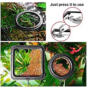 Molain Fish Feeding Ring, 2 Pieces Fish Feeder Aquarium Fish Turtle Tank Accessories Food Feeder Circle for Guppy, Bettas, Goldfish, Turtle (Black)
