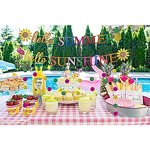 Hello Summer Banner, Glittery Hello Sunshine Classroom Decor Sign, Hello Summer Decorations for Home Office, Hello Summer Birthday Party Decorations, Sunflower Flamingo Pineapple Hawaiian Party Decor