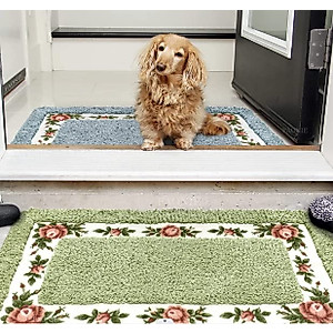SADDROP Pretty Floral Rural Style Romantic Rose Flower Rug Shaggy Area Rugs Soft Non-Slip Doormat Floor Mat Bath Mat Bathroom Shower Rug Bedroom Living Room Carpet (Pink, 16in*24in)