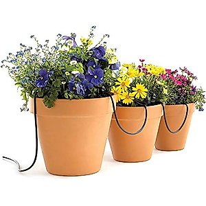 Raindrip R560DP Automatic Drip Irrigation Watering Kit with Timer for Containers and Hanging Baskets, Waters up to 20 Plants, Includes Timer with Customizable Settings and 20 PC Drippers,Black