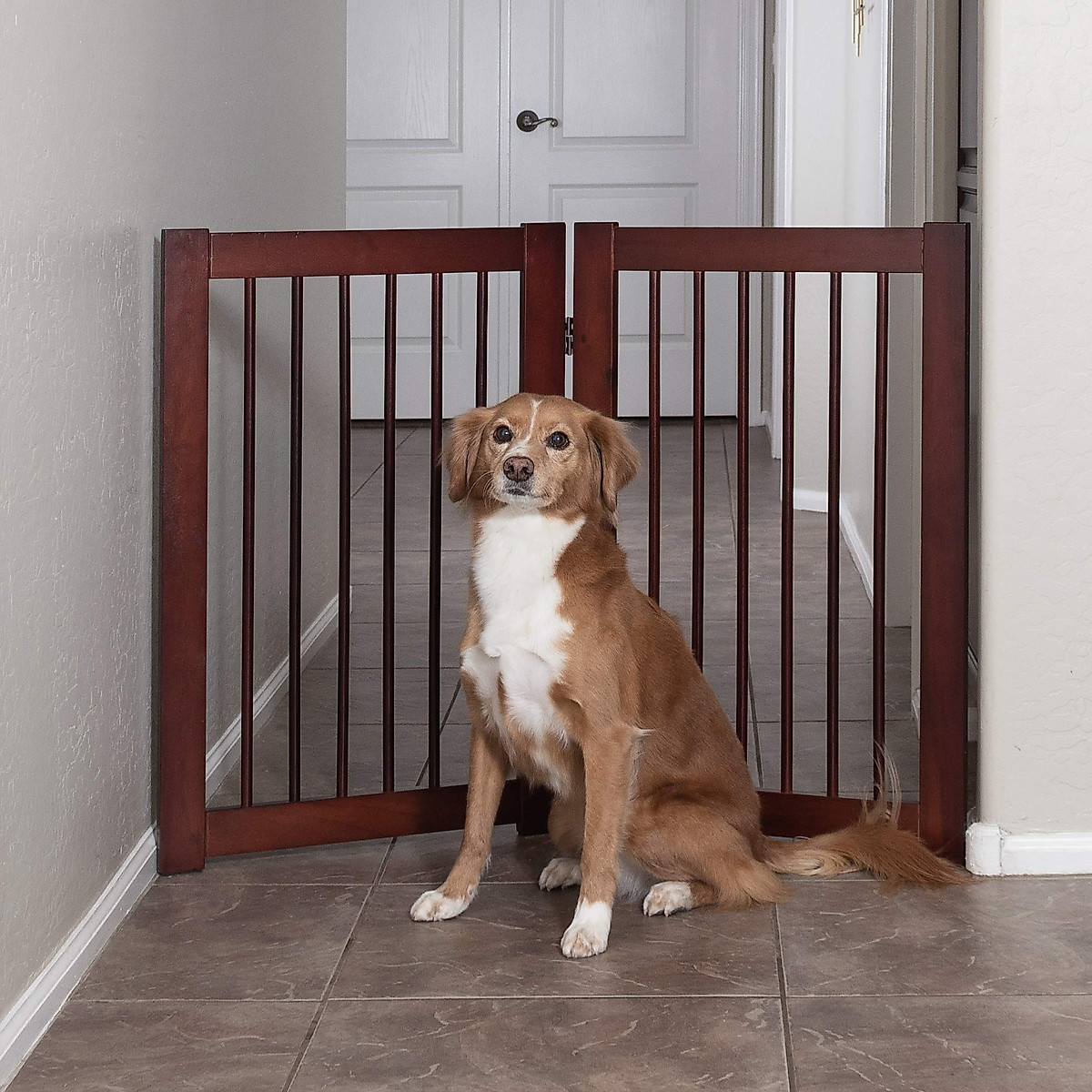 Primetime Petz 33233 Extension Kit for 360 Configurable Walk Through Folding Pet Gate ,Walnut,30"