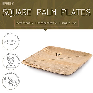 brheez Bamboo Plates made from Palm Leaf 25 Party Plates 10 Inch Eco Friendly Compostable & Biodegradable – Disposable Plates Heavy Duty and More Environmentally Friendly than Paper Plates