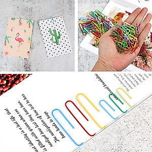 300 Pcs Paper Clips, Binder Clips and Rubber Bands, Office Supply Set, Paper Clips and Paper Clamps, School Supplies Office Supplies Teacher Supplies for Office Desk Essentials (Assorted Sizes)