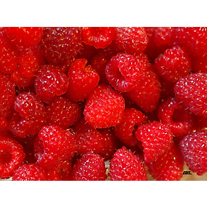 Fresh Raspberry Kitchen Glass Cutting Board Decorative Gift For Mom Red Raspberries Design