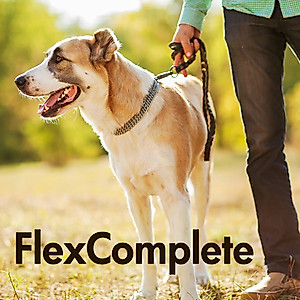FlexComplete Liquid Vegetarian Glucosamine for Dogs - Joint Health and Mobility Support with Vegetarian Formula to Keep Pet Active and Healthy - for Small and Larde Dogs- Formulated in The USA