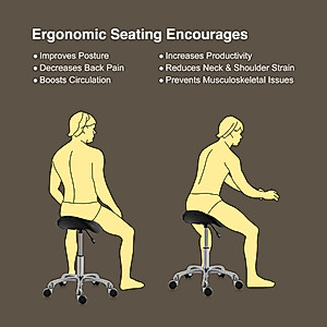 DR.LOMILOMI Pneumatic Swivel Rolling Stool 506 for Hygienic Clinic Spa Massage Home and Office