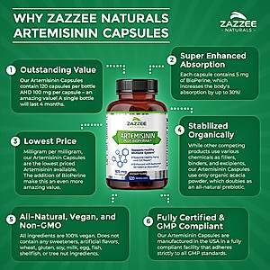 Zazzee High Absorption Artemisinin, 100 mg per Capsule, 120 Vegan Capsules, with 5 mg BioPerine for Maximum Absorption, Sweet Wormwood Extract, 4 Month Supply, All-Natural and Non-GMO