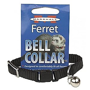 Marshall Ferret Bell Collar - Black