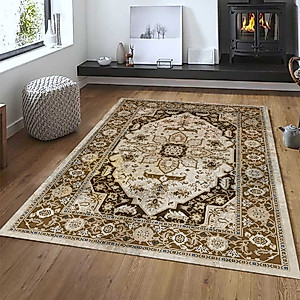 FINOREN Bohemian Traditional Area Rug,Stain Resistant Washable,Low Pile Non-Slip Rug for Living Room Bedroom Dining Room Kitchen Indoor Office,Room Decorative Rug,Coffee,5x7 Feet