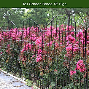 FOREHOGAR Decorative Metal Garden Fence Outdoor CTW3643, 43.2in H x 14.75 ft L, No Dig Temporary Dog Fence Border Fencing for Yard Patio Landscape Flower Bed,5 Panels + 6 Stakes, Black