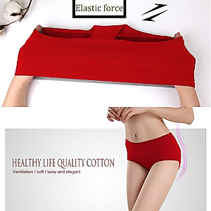 AMZCHPC Women's Briefs Cotton Underwear Mid Waisted Panties Soft Underpants 5Pack (multicolor, M)