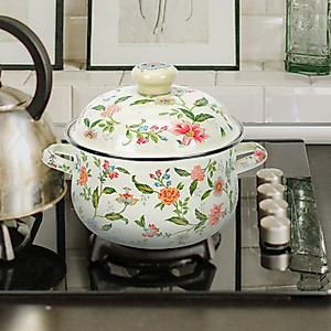 Colorful Enamel Stock Pot with Lid Double Ear for Cooking, 20x20cm, BMR0609A2S15L5