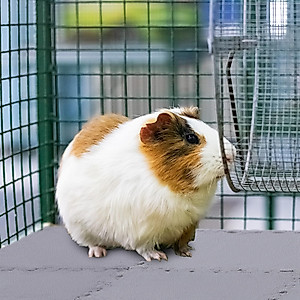 Timgle 20 Pcs Guinea Pig Fleece Cage Liners 12"x12" Washable Guinea Pig Mat Reusable Small Animals Fleece Bedding Warm Soft Training Pads for Chinchilla Hamster Rat Ferret Bunny Small Sized Pets