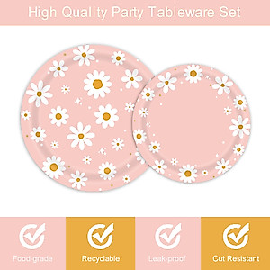 96Pcs Daisy Birthday Party Tableware Set - Include Paper Plates Napkins Forks, One Two Groovy Disposable Party Supplies Decorations for Girl Birthday Baby Shower Serve 24 Guests