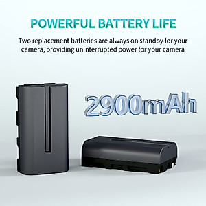 LP NP-F550 Battery Charger Pack, 2-Pack 2900mAh Battery & Dual Slot Charger, Compatible with Sony NP F970, F960, F770, F750, F570, F550, F530, F330, CCD-SC55, TR910, TR917, CN160, CN-216 LED & More