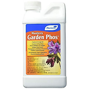 Monterey NLG3304, 1 Pint Garden Phos, Brown/A