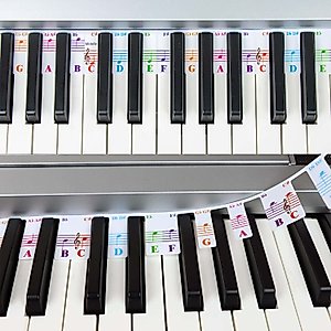QMG Colorful Piano Keyboard Notes for Beginner, Removable Note Labels for Learning, 61 Key Full Size Piano Rake Key, Reusable, No Need Stickers
