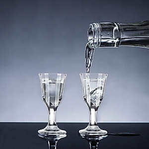 24-Pack Small Mini Shot Glasses 10 ml 0.35oz, Mini Wine Glass Shooters Small Fancy Shot Glasses Super Cute & Elegant