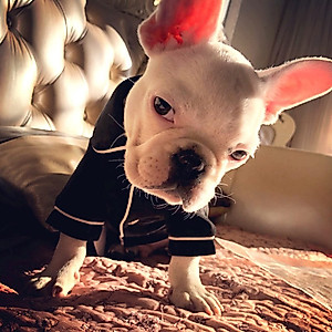 LIWOWOLI Dog Pajamas for Small Dogs, Pink, Cotton Blend, XS-XL, Unisex, Floral, Party, Temperature-Regulating, Collared Neck, 1 Pack