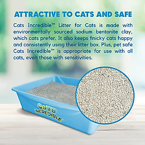 Lucy Pet Cats Incredible 18 lb Box Clumping Cat Litter Recyclable Box with Smell Squasher, Absorbent Natural Clay Formula Prevents Ammonia Build-Up, Unscented