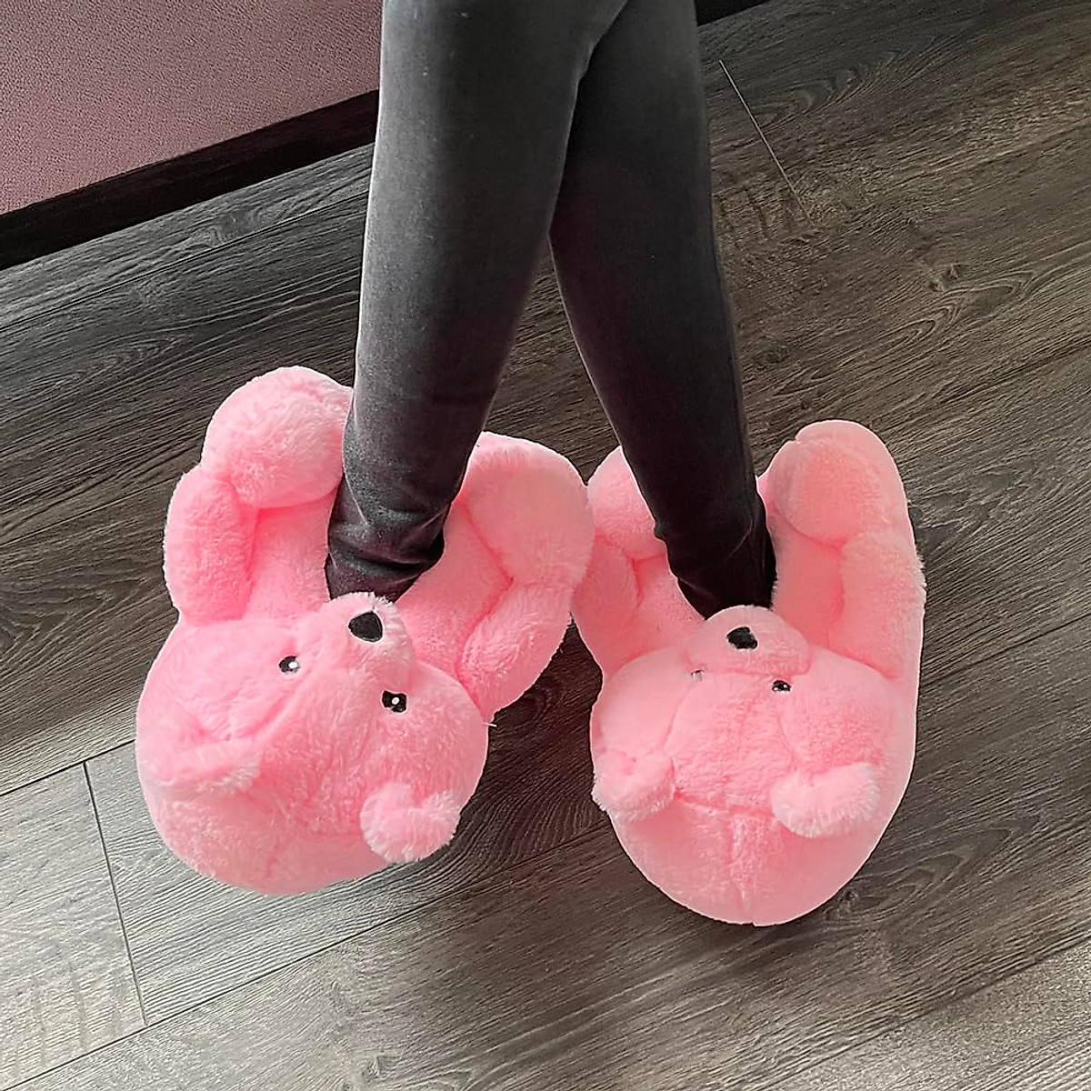 Alayger Women's Plush Teddy Bear Slippers Home Indoor Soft Anti-Slip Cute Winter Warm Floor Shoes Slippers Cartoon