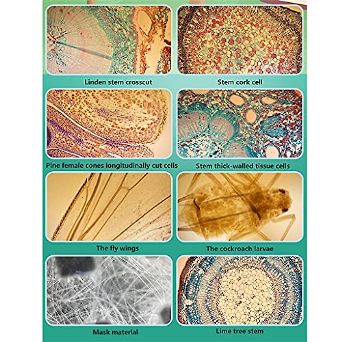 LXXSH 400X Microscope for Phone Lens Monocular Mobile Phone Camera Lens High Magnification External Universal Microscope Lens