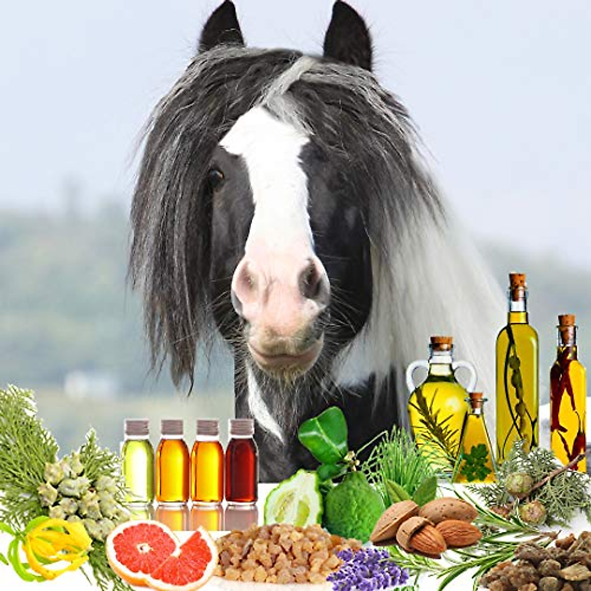 The Blissful Horses Relax Spray Aromatherapy All Natural Support for Your Horse's Anxiety