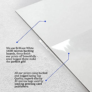 HWC Trading Harrison Ford Gift USL Signed Printed Autograph Star Wars Gifts Print Photo Picture Display - US Letter Size