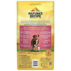Nature′s Recipe Grain Free Salmon, Sweet Potato & Pumpkin Recipe Dry Dog Food, 4 lb. Bag