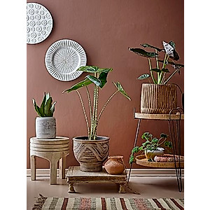 Creative Co-Op Boho Hand-Carved Paulownia Wood Stool, Natural