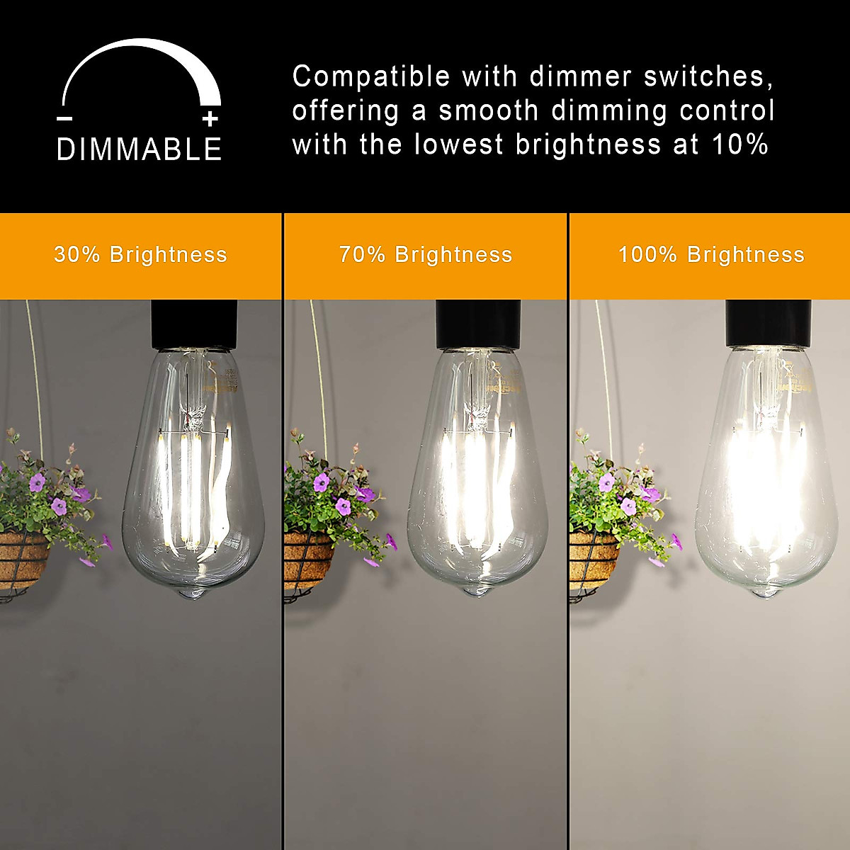 Dimmable Ascher Vintage LED Edison Bulbs, 6W, Equivalent 60W, Bright Daylight White 4000K, 80+ CRI, ST58 Antique LED Filament Bulbs, E26 Medium Base, Clear Glass, 6 Count (Pack of 1