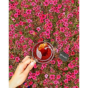 Stash Twinings Herbal Tea Sampler - Caffeine-Free Assortment - Individually Wrapped Flavored Bags - 48 Ct, 24 Flavors