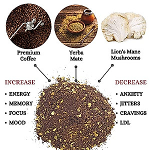 Yerba Mate Coffee with Lion's Mane Mushroom by Lion Rush - Enhanced Ground Dark Roast - Increase Energy, Focus & Creativity - Low Acid, High Antioxidants, Keto, Reduce Cravings, Non-GMO - 12 oz Pack