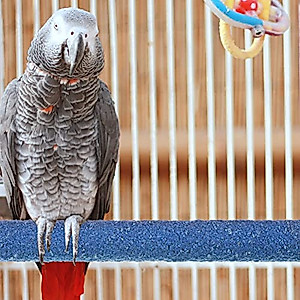 5pcs Grinding Budgies Wooden Parakeets Hanging Stand Conure Food Accessories Cage Cockatiel Balance Bird Climbing Standing for Parakeet Bowl Birdcage Toy: Bite Cockatiels Natural