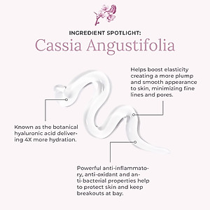 Amazing Cosmetics Anti Aging Face Primer, Face Moisturizer Botanicals for All Day Hydration and Blurs Fine Lines, Wrinkles and Large Pores for a Non-Greasy Long Wearing Foundation Makeup Application