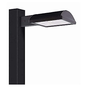 RAB Lighting ALED3T150 LED High Wattage Type III Area Light, 5000 K (Cool) Color Temperature, Standard Type, Bronze Finish