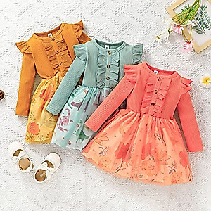 Baby Toddler Girls Fall Winter Long Sleeve Dress Floral Princess Casual Dress Kids Ribbed Tutu Skirt