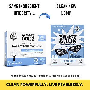 Molly’s Suds Laundry Detergent Sheets | Gentle on Sensitive Skin, Powerful Bio-Based Enzymes, Stain-Fighting | Liquidless & Plastic-Free Packaging | 120 Loads (Ocean Mist)