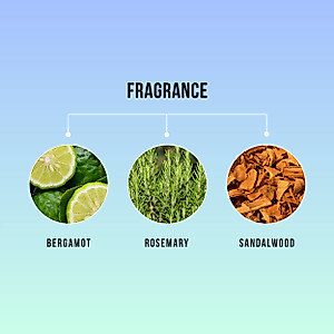 HASK Tea Tree & Rosemary Oil Scalp Care Shampoo - 12 fl oz