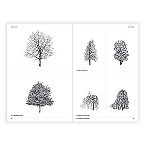 The Architecture of Trees