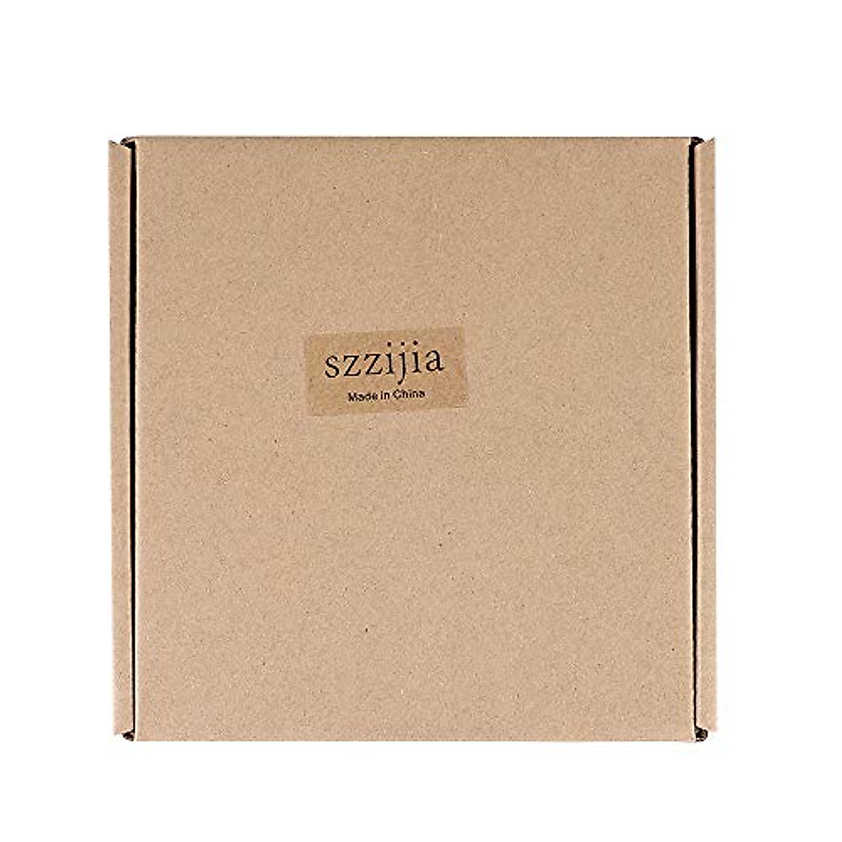 szzijia 1/2" AC 110V Automatic Timed Water Tank 2-way Direct-acting Drain Valve US Plug